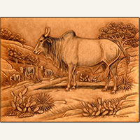 Brahma Carving Pattern by Al Stohlman — Tandy Leather, Inc.