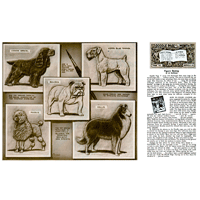 Figure Dyeing by Al Stohlman- Series 3B Page 10 — Tandy Leather, Inc.