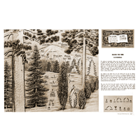 Making Pine Trees by Al Stohlman- Series 1B Page 11 — Tandy Leather, Inc.