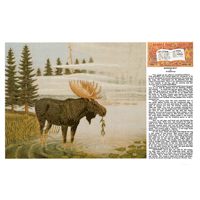 Morning Mist by Al Stohlman- Series 4D Page 11 — Tandy Leather, Inc.