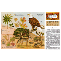 New Tools…New Techniques by Al Stohlman- Series 5D Page 1 — Tandy ...