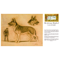 The German Sheperd by Al Stohlman- Series 12B Page 12 — Tandy Leather, Inc.