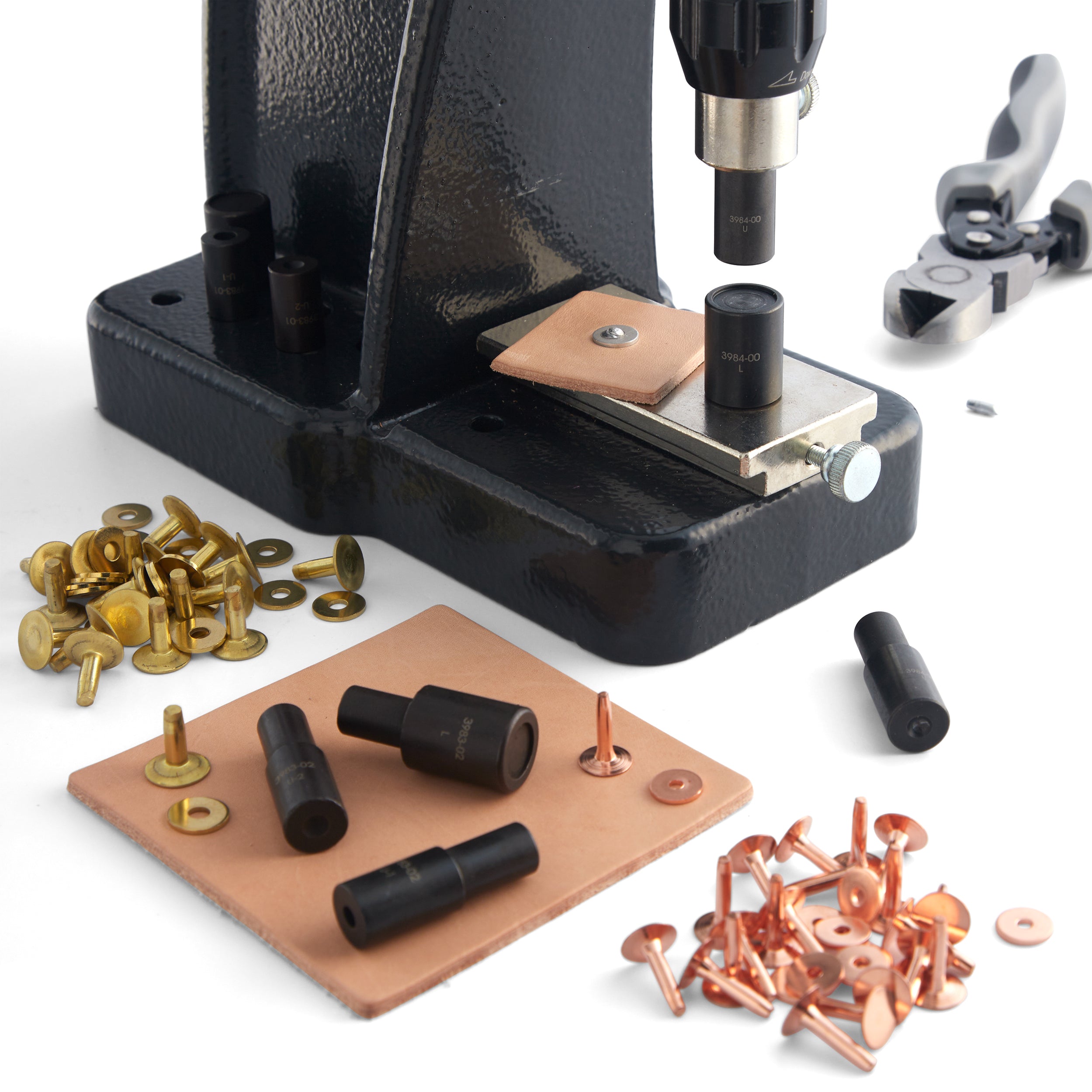 Hand Press Die Rivets & Burrs — Tandy Leather, Inc.