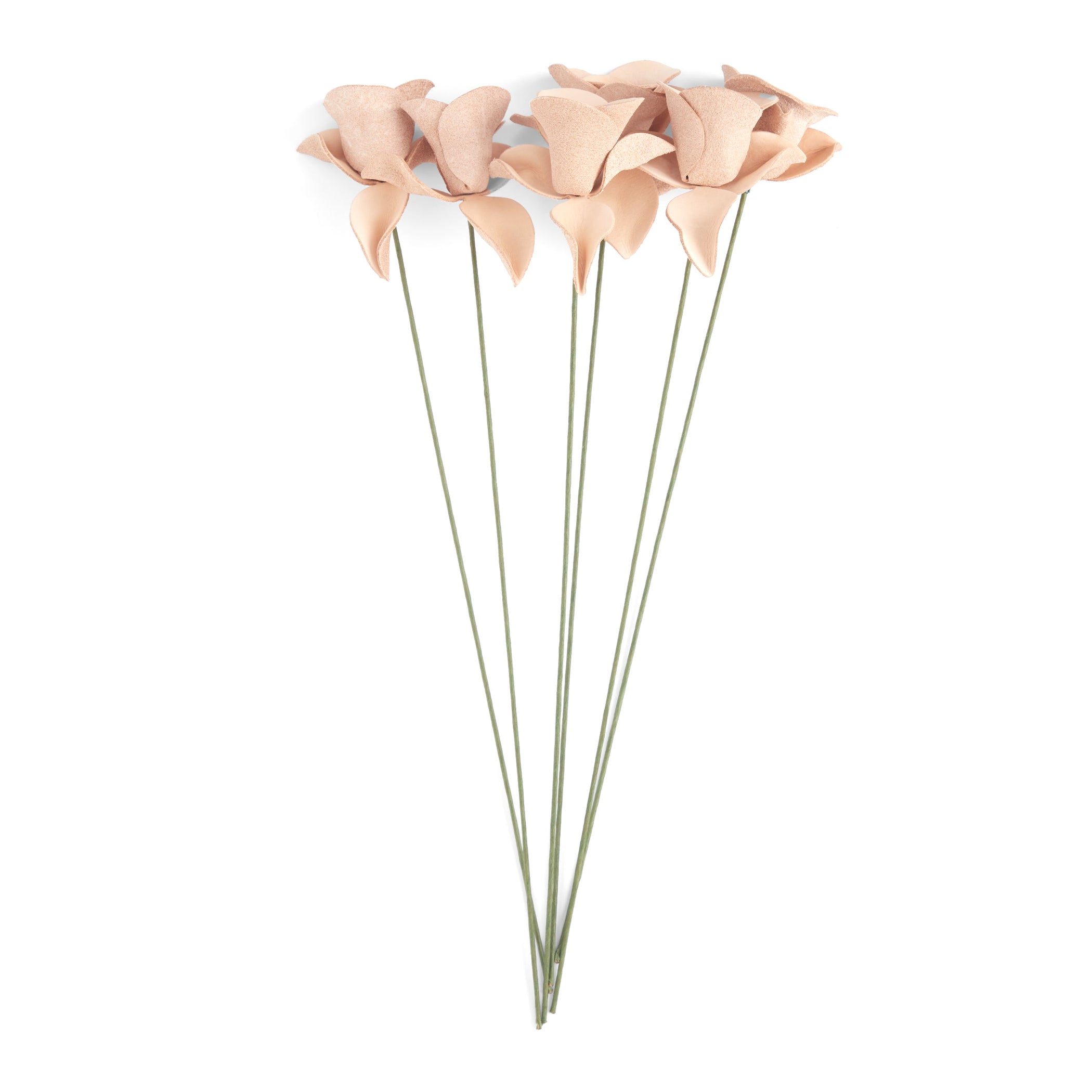 Rose Kit 6 Pack — Tandy Leather, Inc.