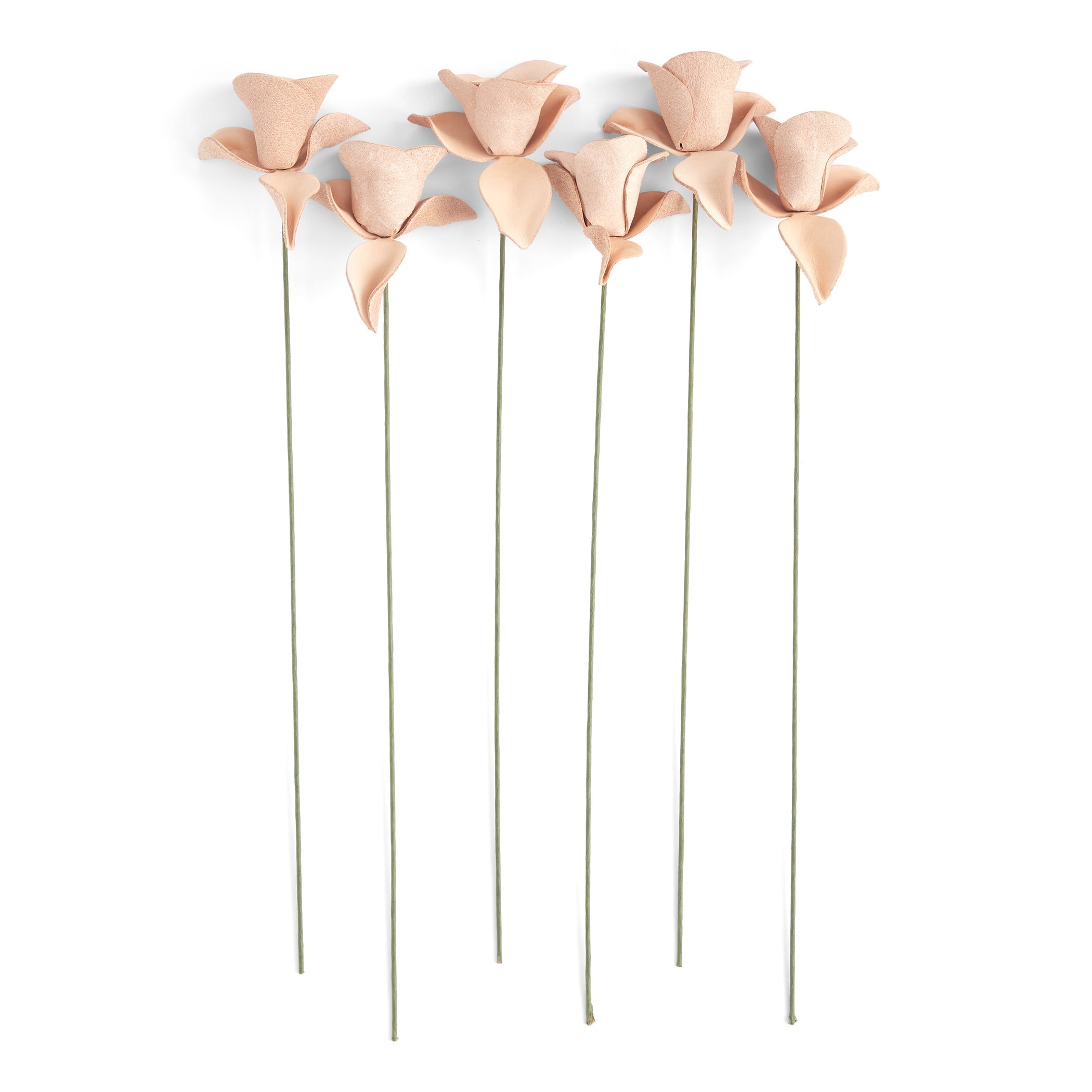 Rose Kit 6 Pack — Tandy Leather, Inc.