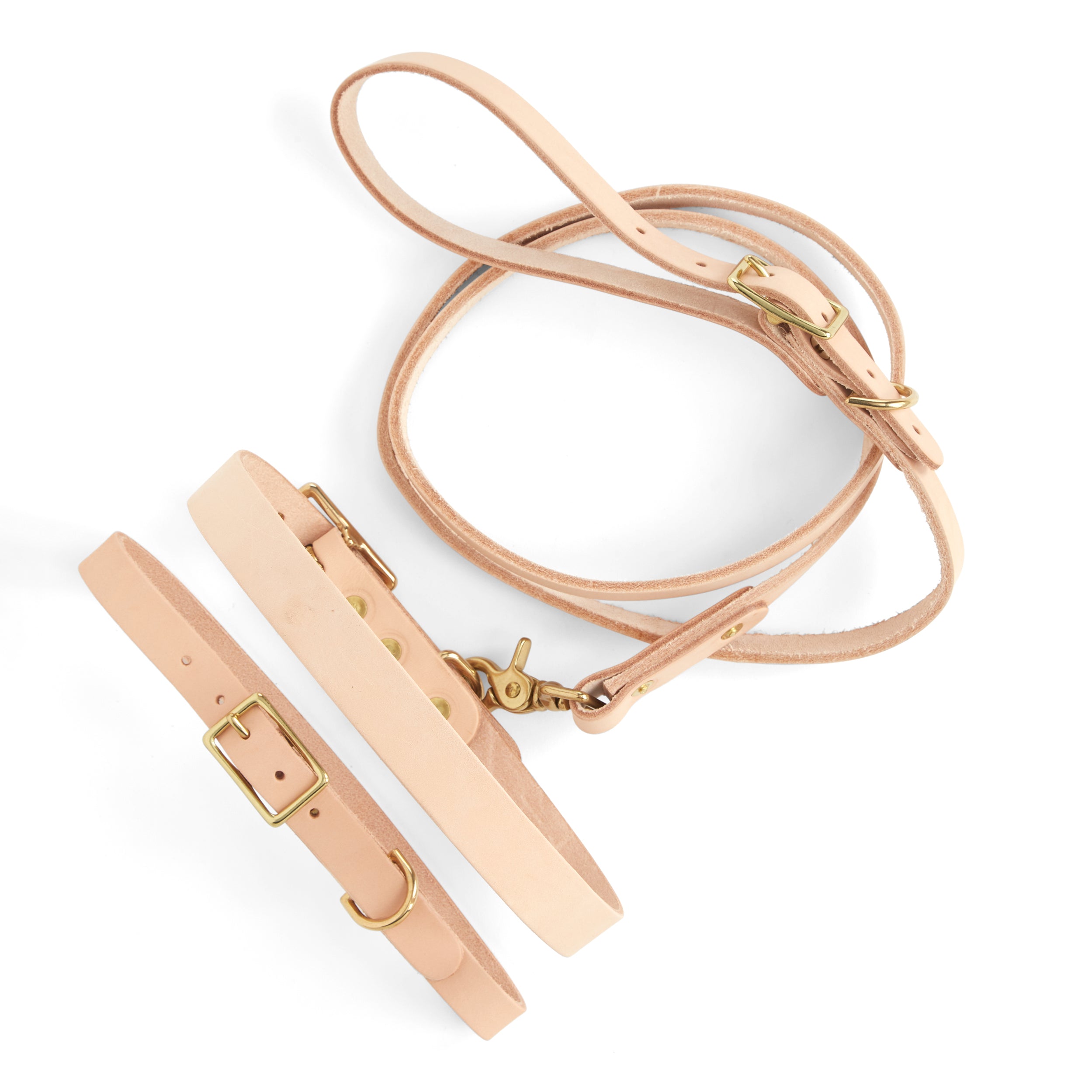 Dog Collar Kit — Tandy Leather, Inc.