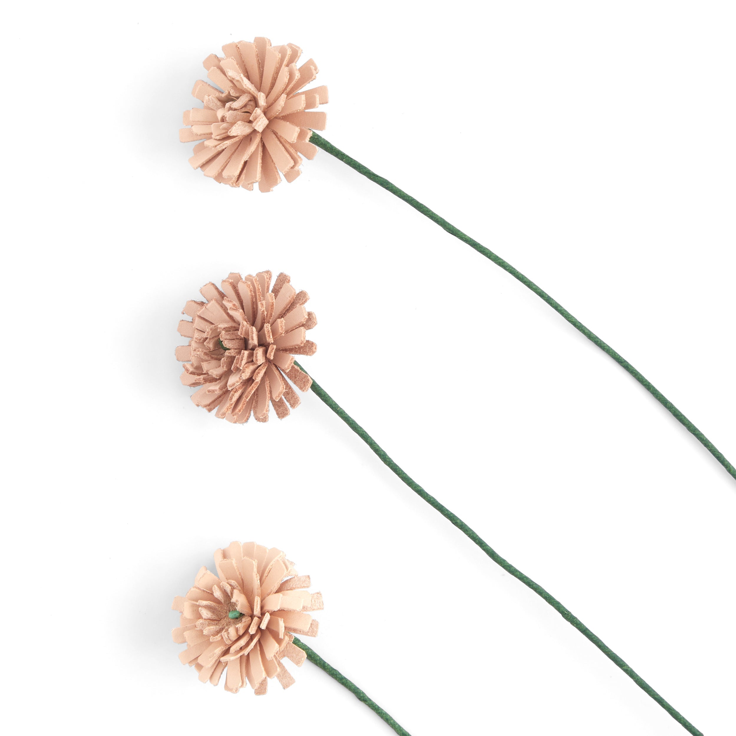 Dandelion Kit 3 Pack | Tandy Leather — Tandy Leather, Inc.