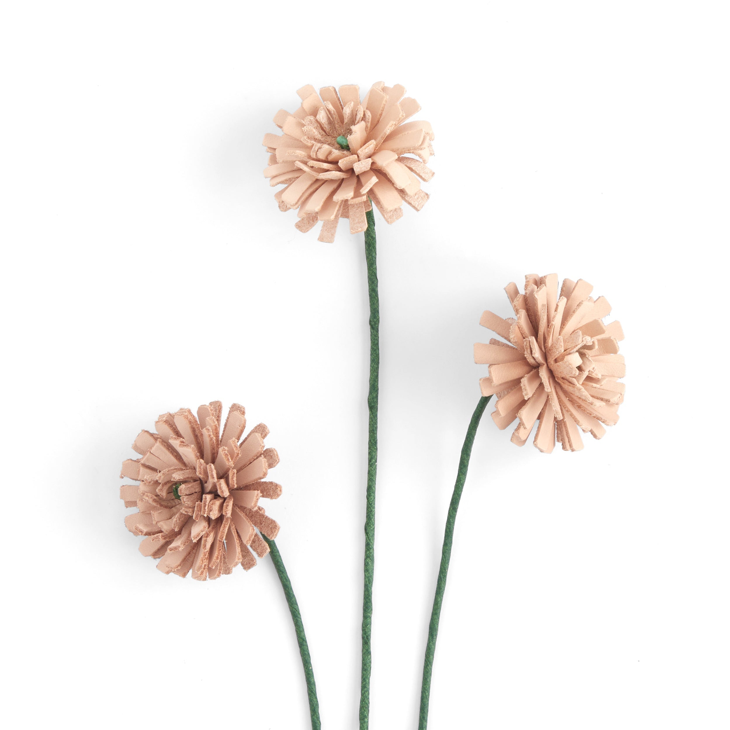 Dandelion Kit 3 Pack | Tandy Leather — Tandy Leather, Inc.