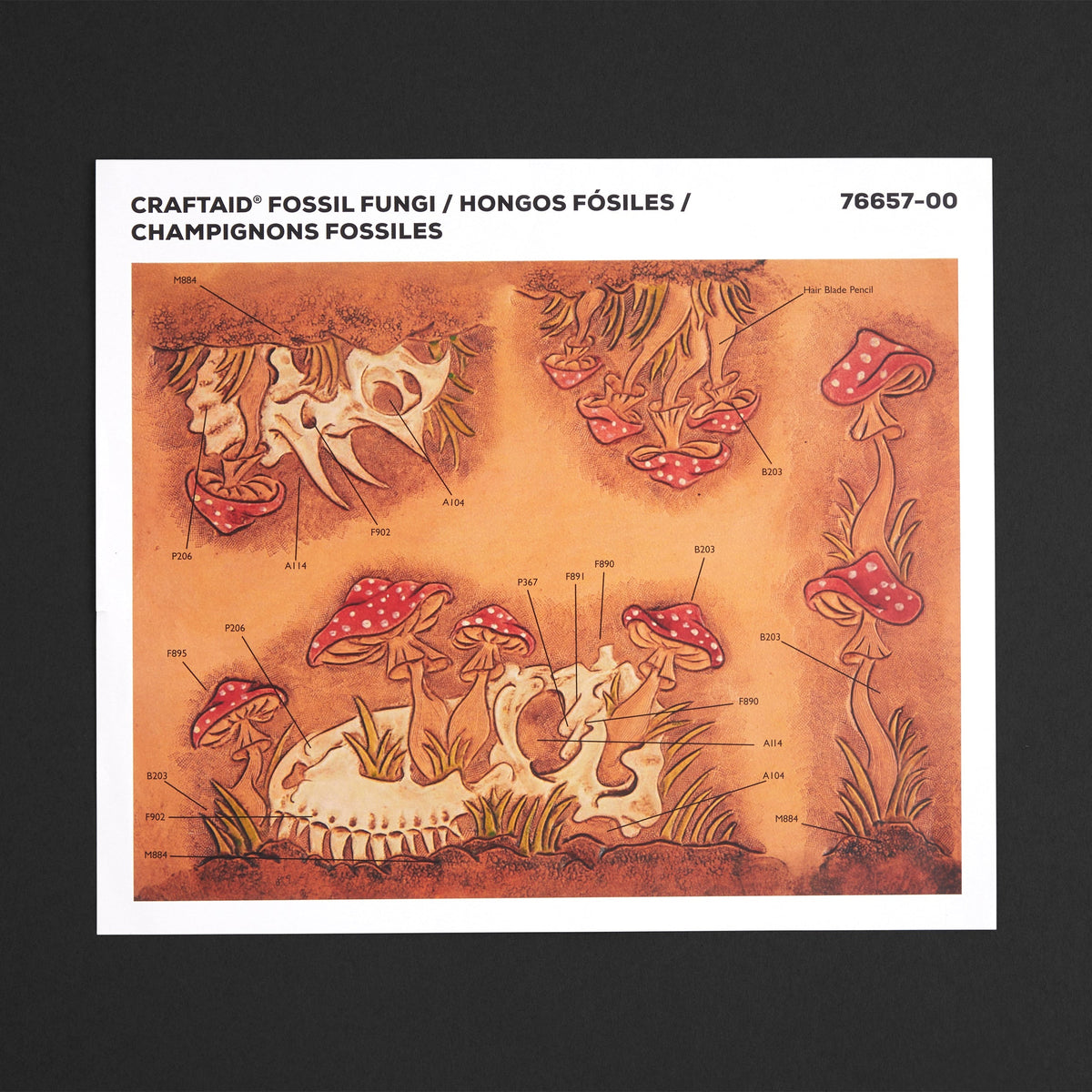 Fossil Fungi Craftaid® — Tandy Leather, Inc.