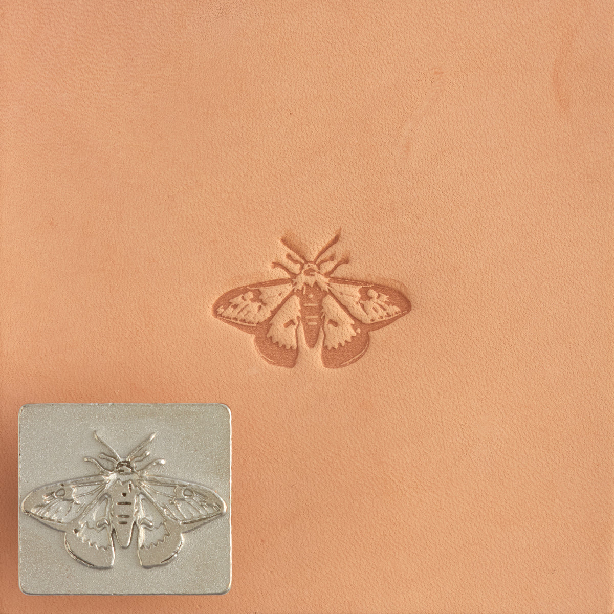 Craftool® Stamp Head Moth — Tandy Leather, Inc.