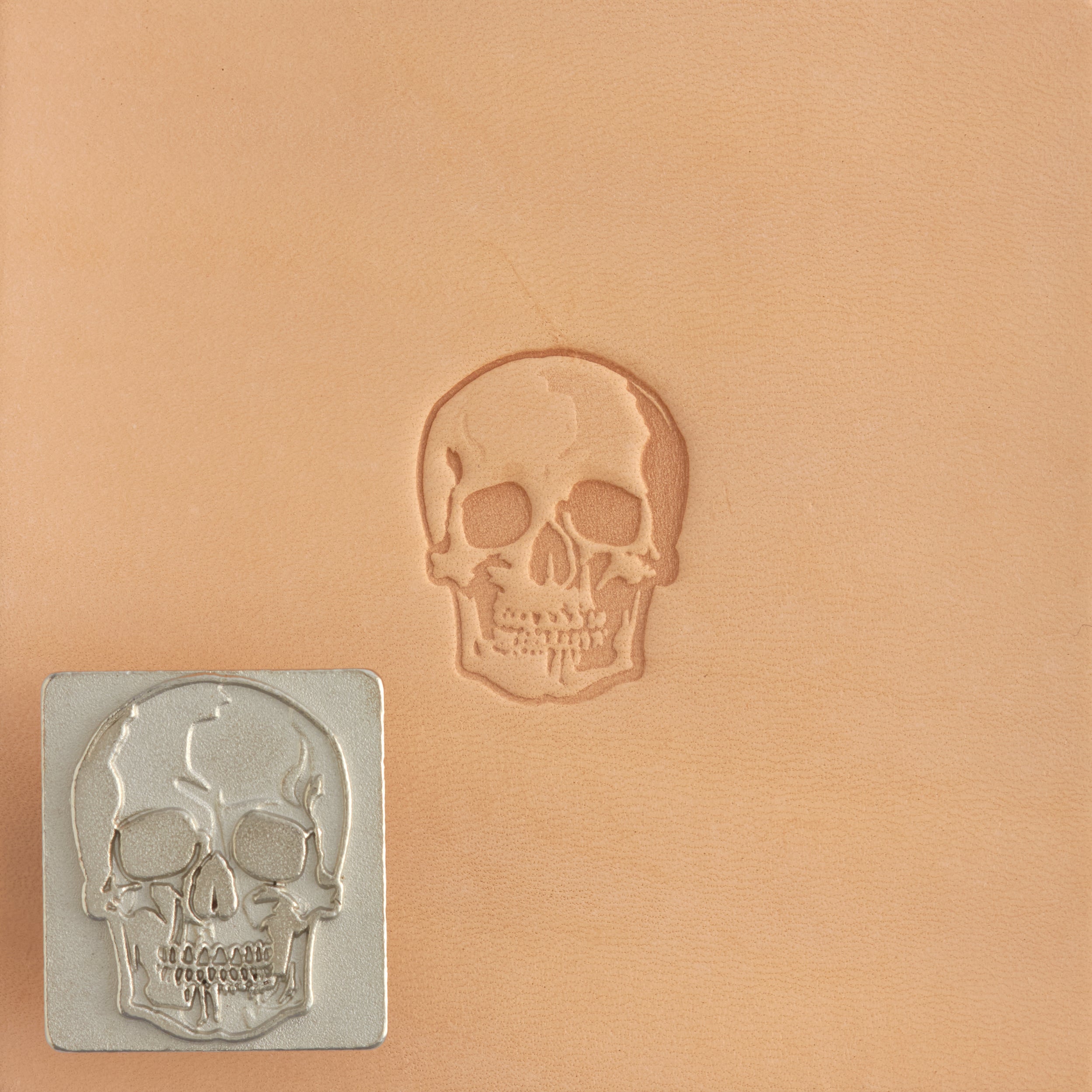 Craftool® Stamp Head Skull — Tandy Leather, Inc.