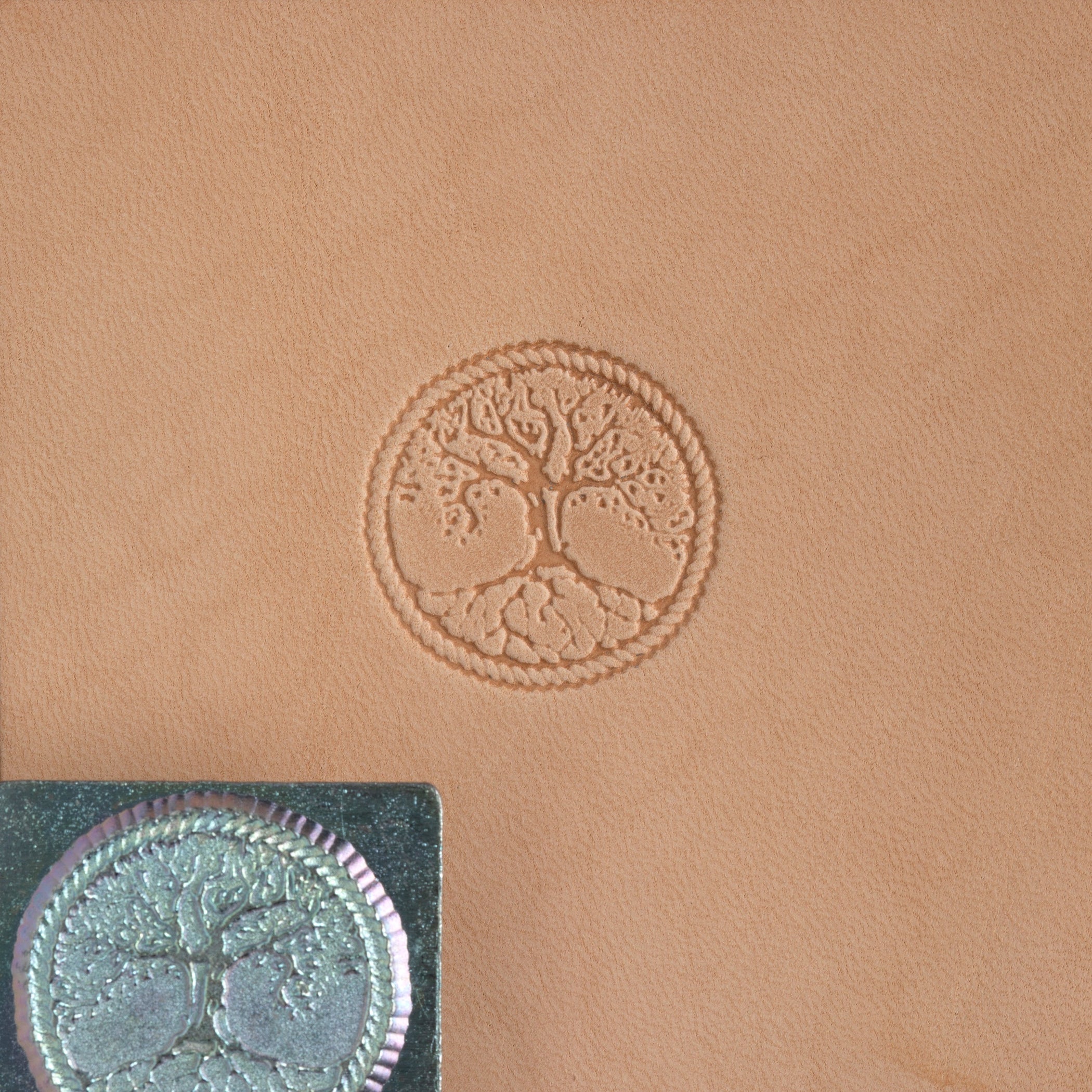 Craftool® Stamp Head Tree Of Life | Tandy Leather — Tandy Leather, Inc.
