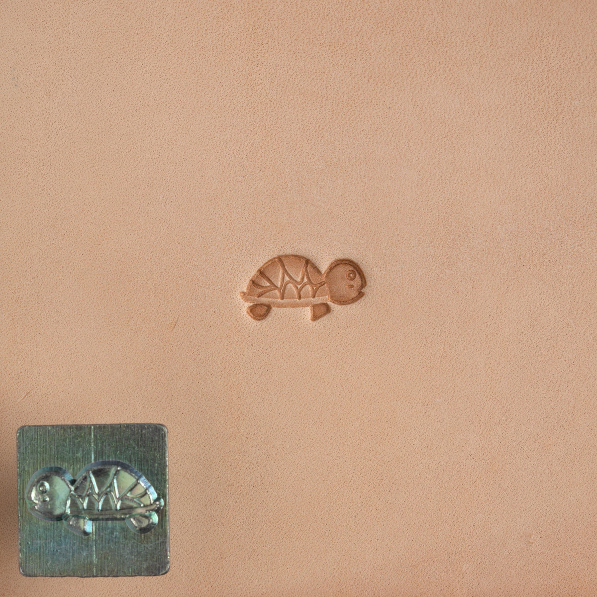 Craftool® Small Stamp Head Turtle | Tandy Leather — Tandy Leather, Inc.