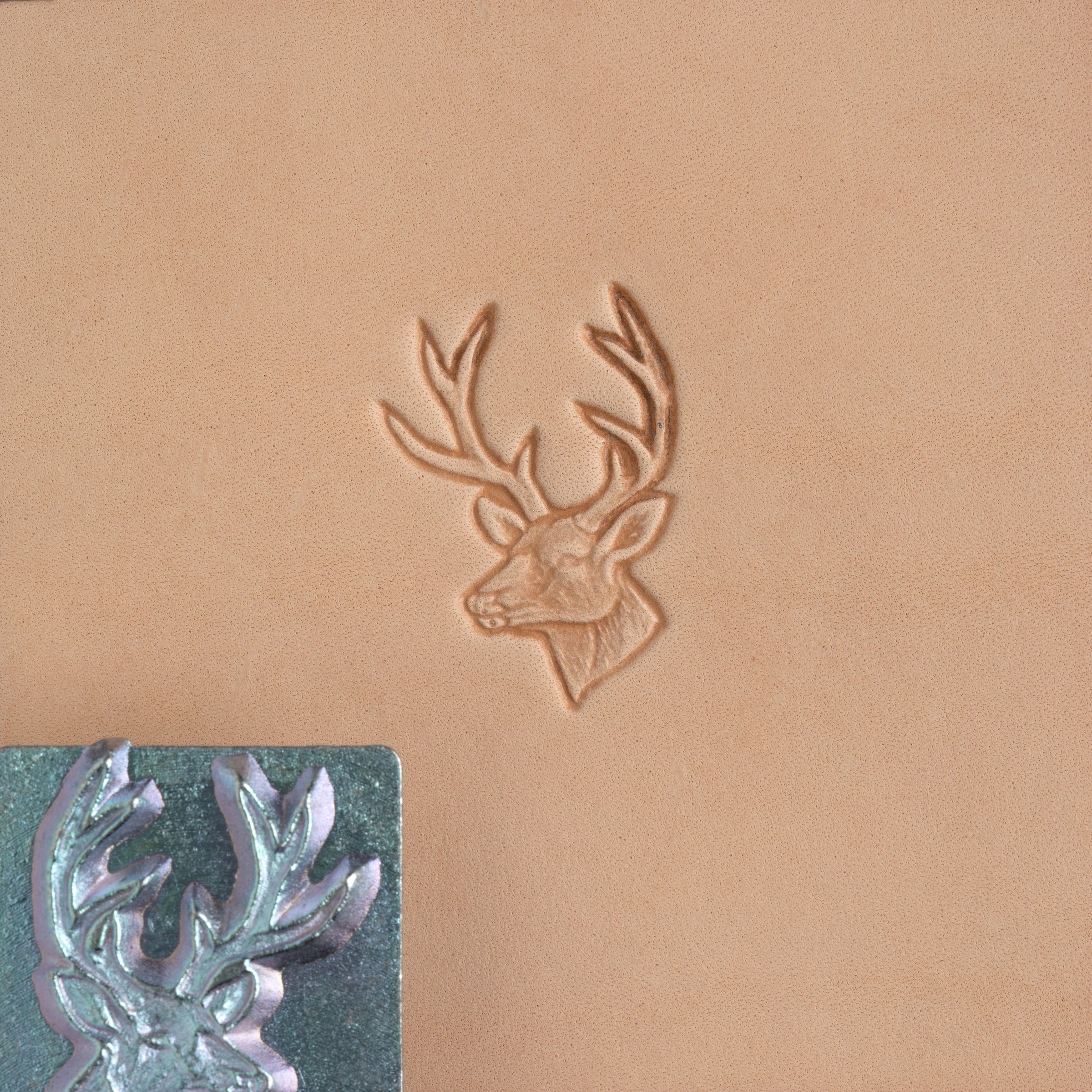 Craftool® Stamp Head White-Tailed Deer | Tandy Leather — Tandy Leather ...