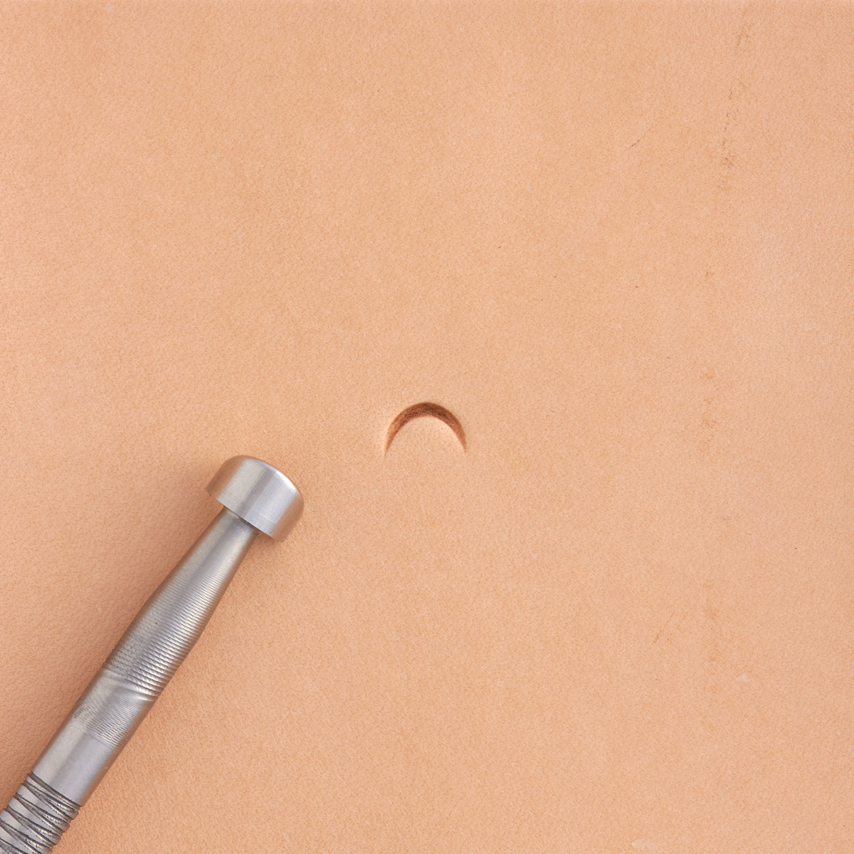 Medium Rounded Mule Foot Stainless Steel Stamp — Tandy Leather, Inc.