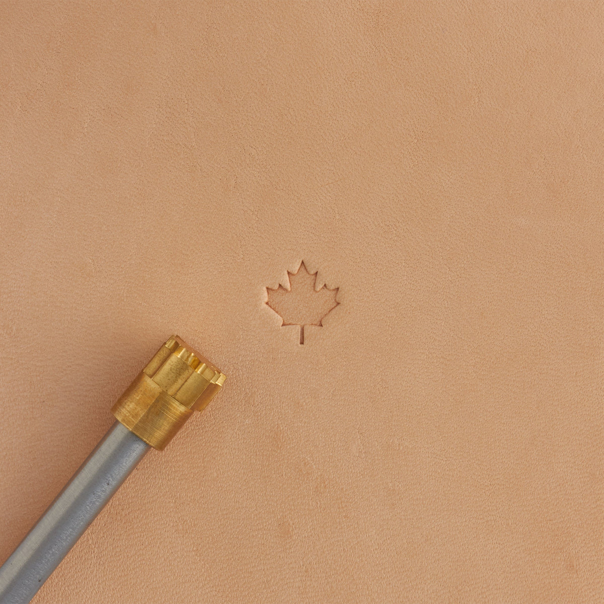 Maple Leaf Brass Stamp — Tandy Leather, Inc.
