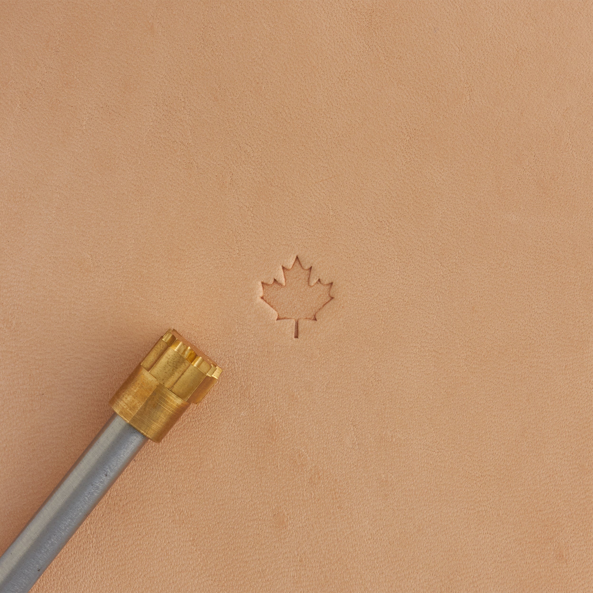 Maple Leaf Brass Stamp | Tandy Leather — Tandy Leather, Inc.