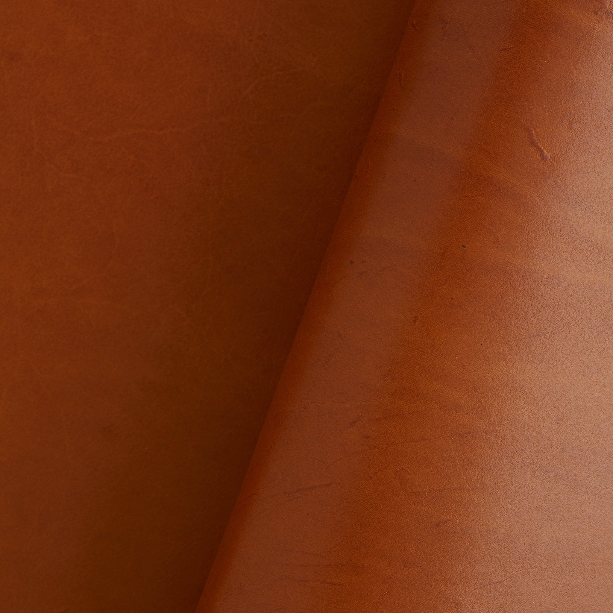 Shop Rodeo Leather at Tandy — Tandy Leather, Inc.