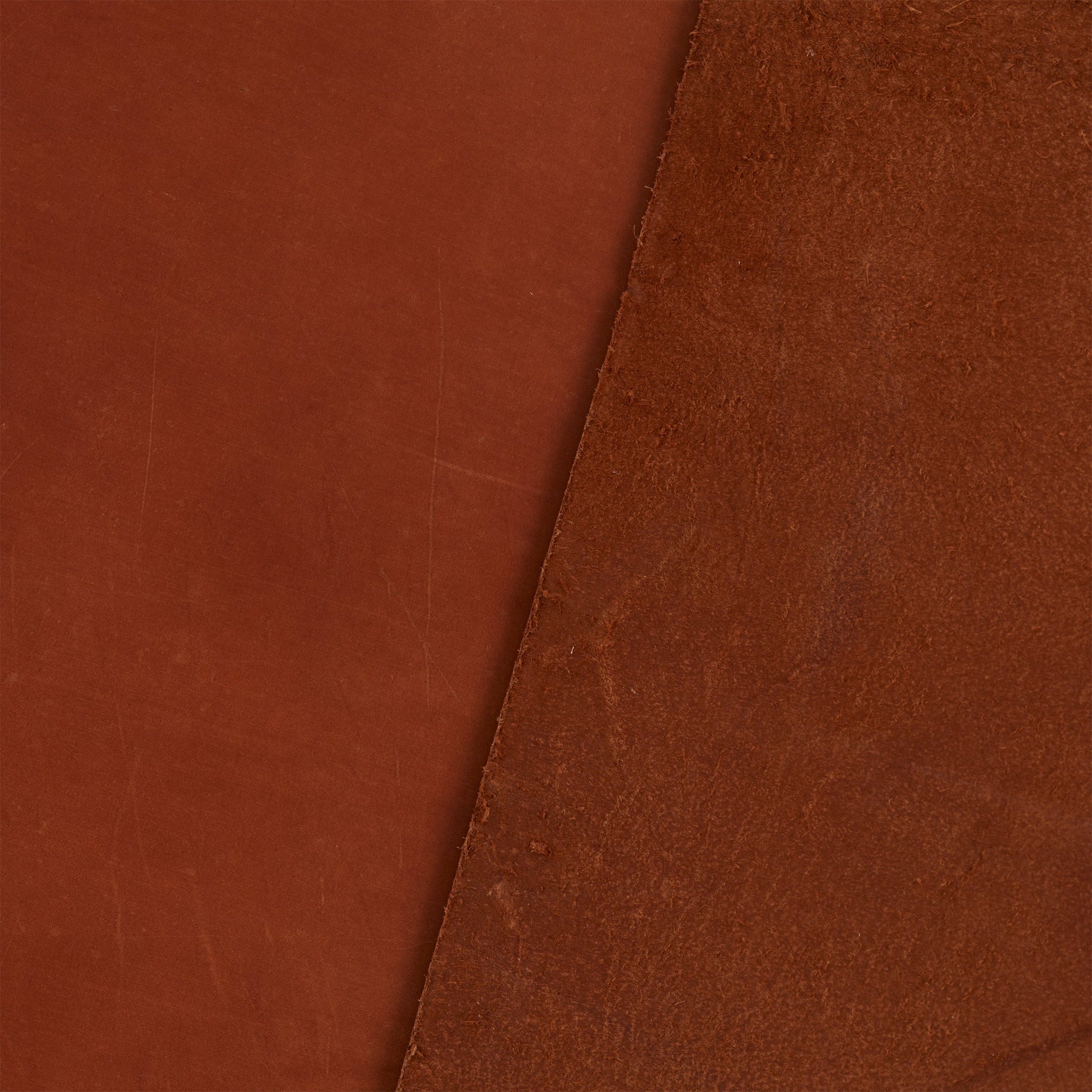 Tandy Leather — Tandy Leather, Inc.