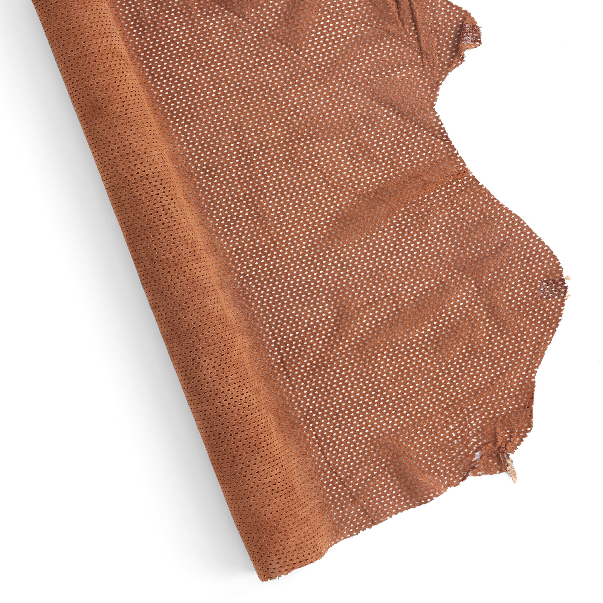 Special Designer Leather for Sale at Tandy Leather — Tandy Leather, Inc.