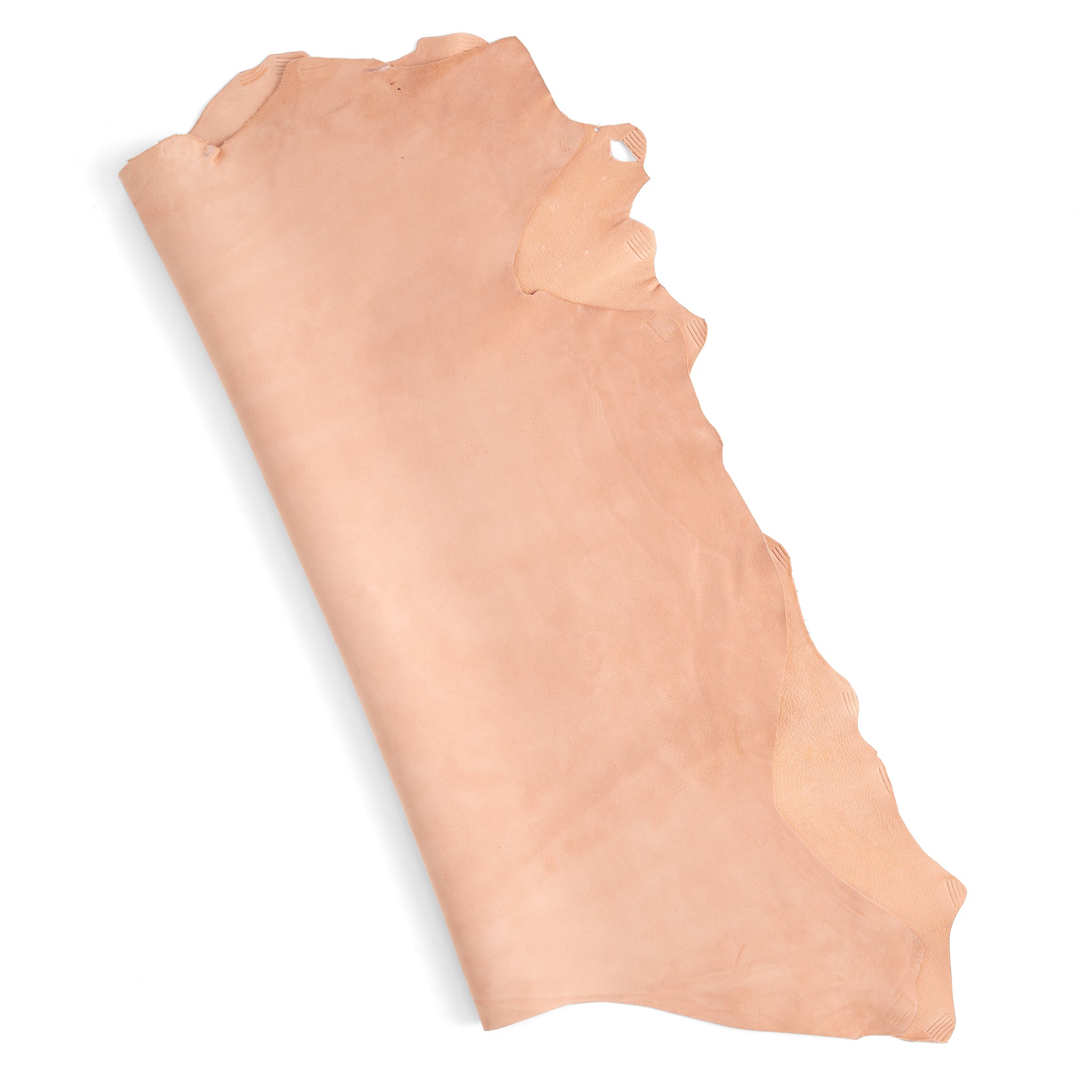 Special Designer Leather for Sale at Tandy Leather — Tandy Leather, Inc.