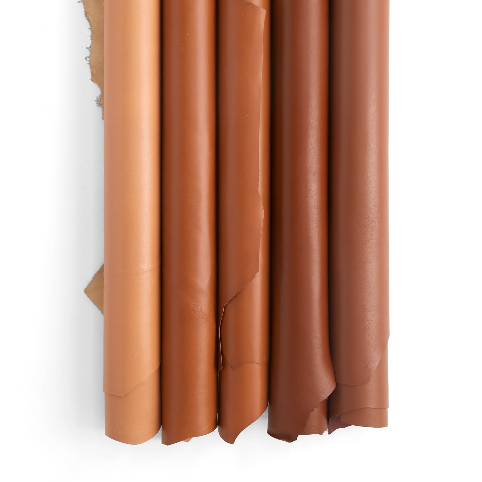 Shop New Leather Now! — Tandy Leather, Inc.