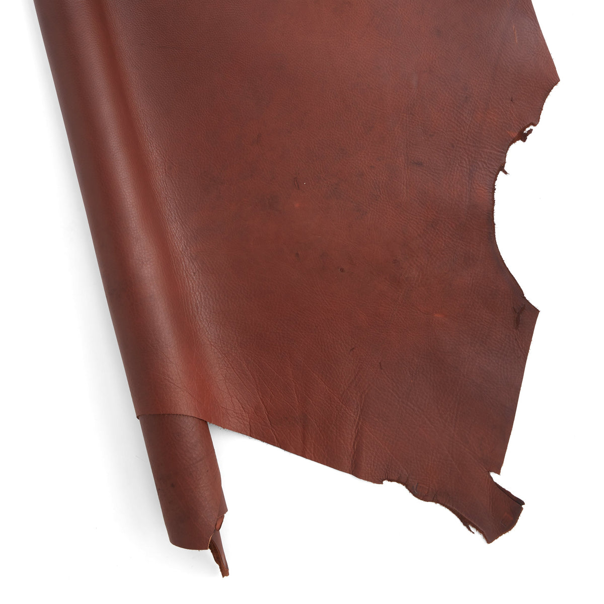 Austin Utility Side — Tandy Leather, Inc.