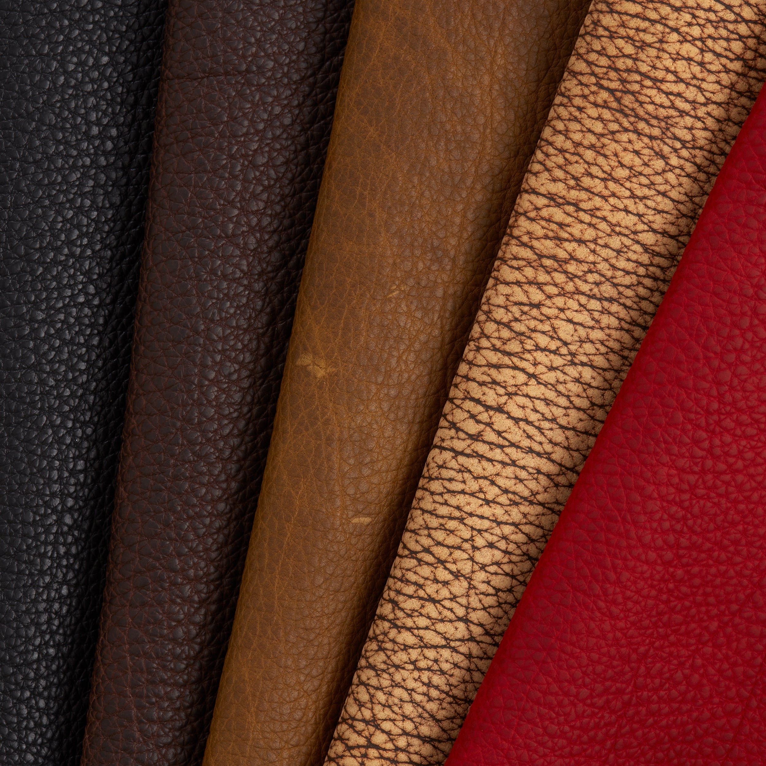 Bison Side — Tandy Leather, Inc.