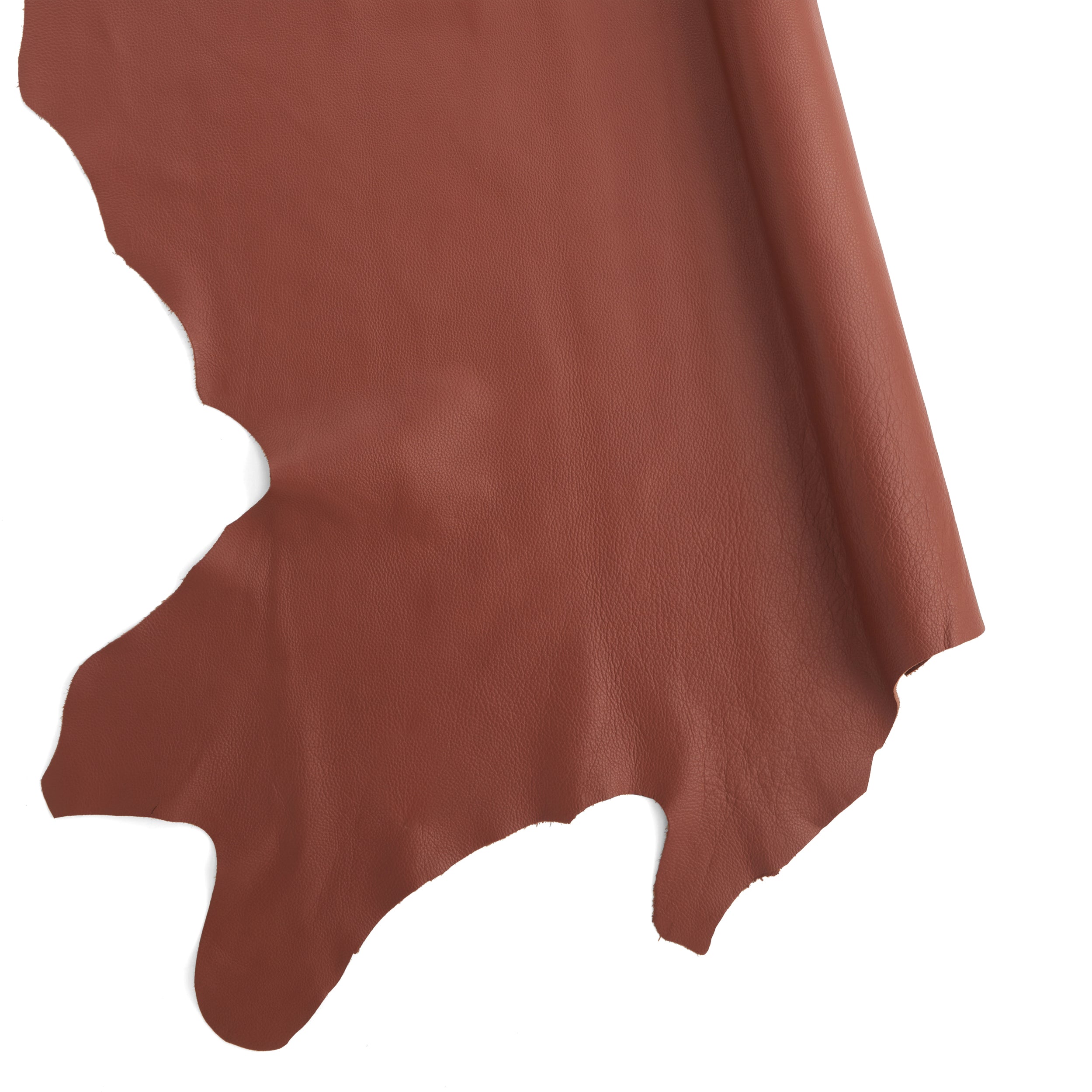 Designer Pebble Grain Side — Tandy Leather, Inc.