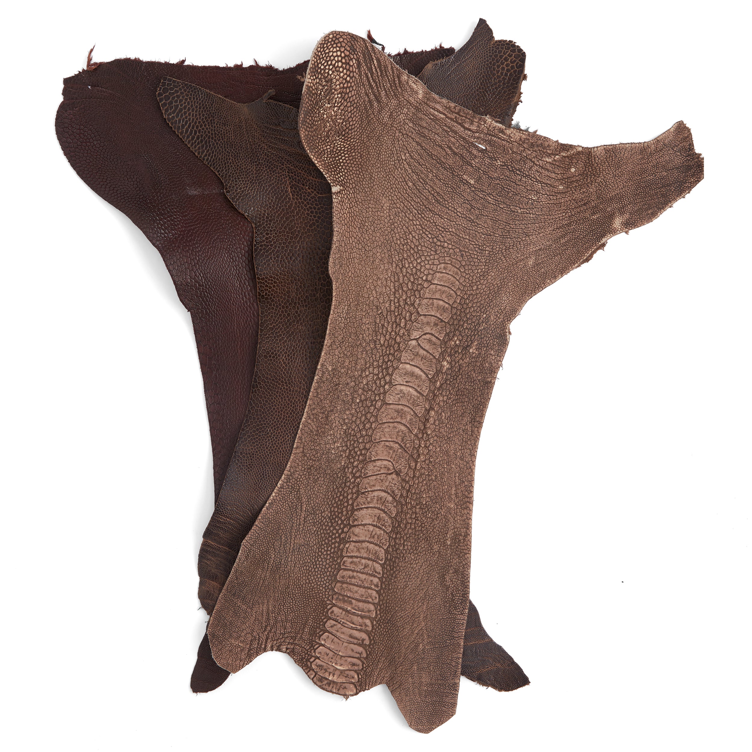 Assorted Ostrich Leg — Tandy Leather, Inc.