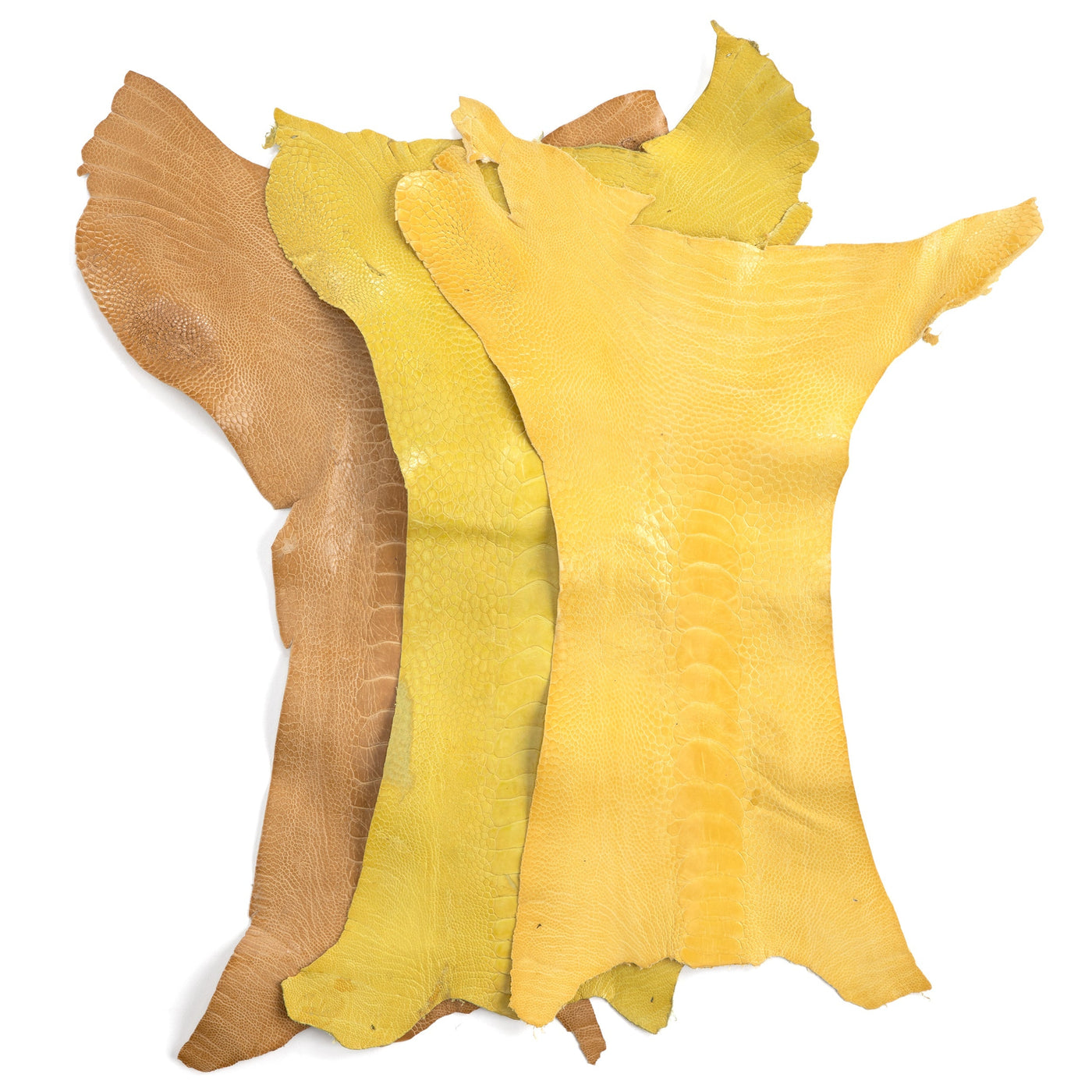 Ostrich Leg — Tandy Leather, Inc.