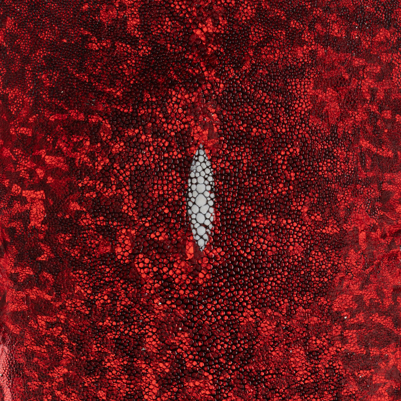 Metallic Stingray Skin | Tandy Leather — Tandy Leather, Inc.