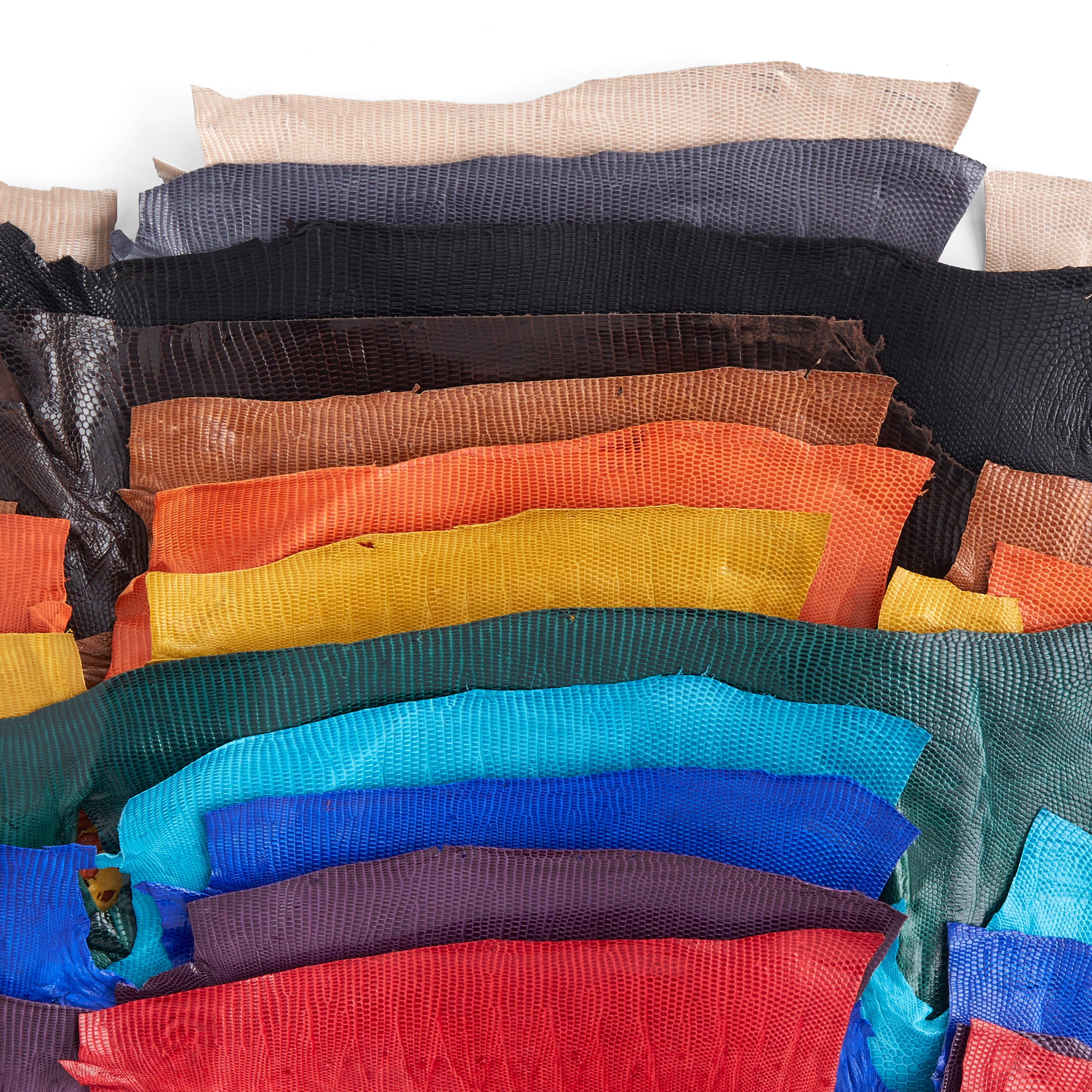 Lizard Small Skin — Tandy Leather, Inc.