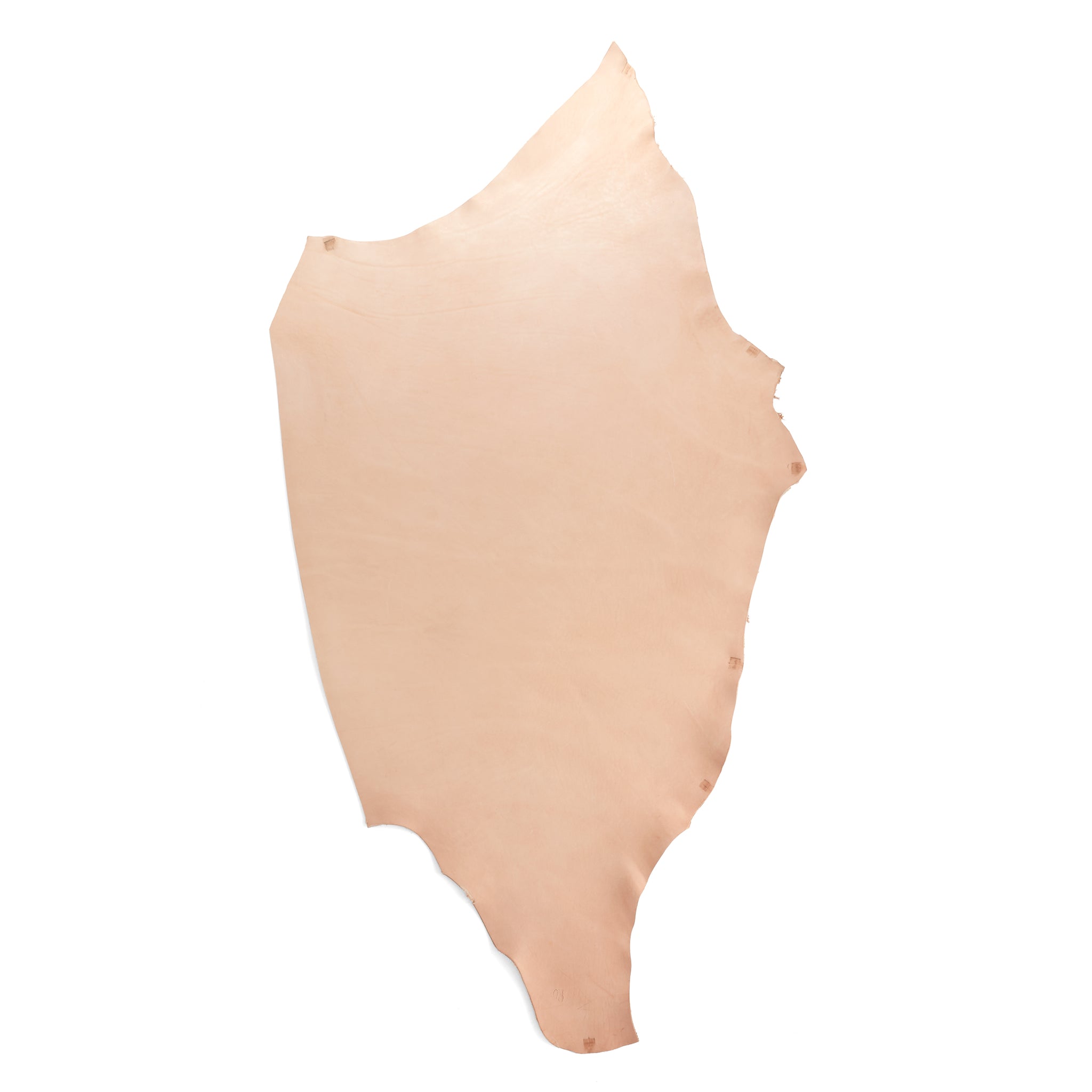 Shop Veg-Tan Leather at Tandy — Tandy Leather, Inc.