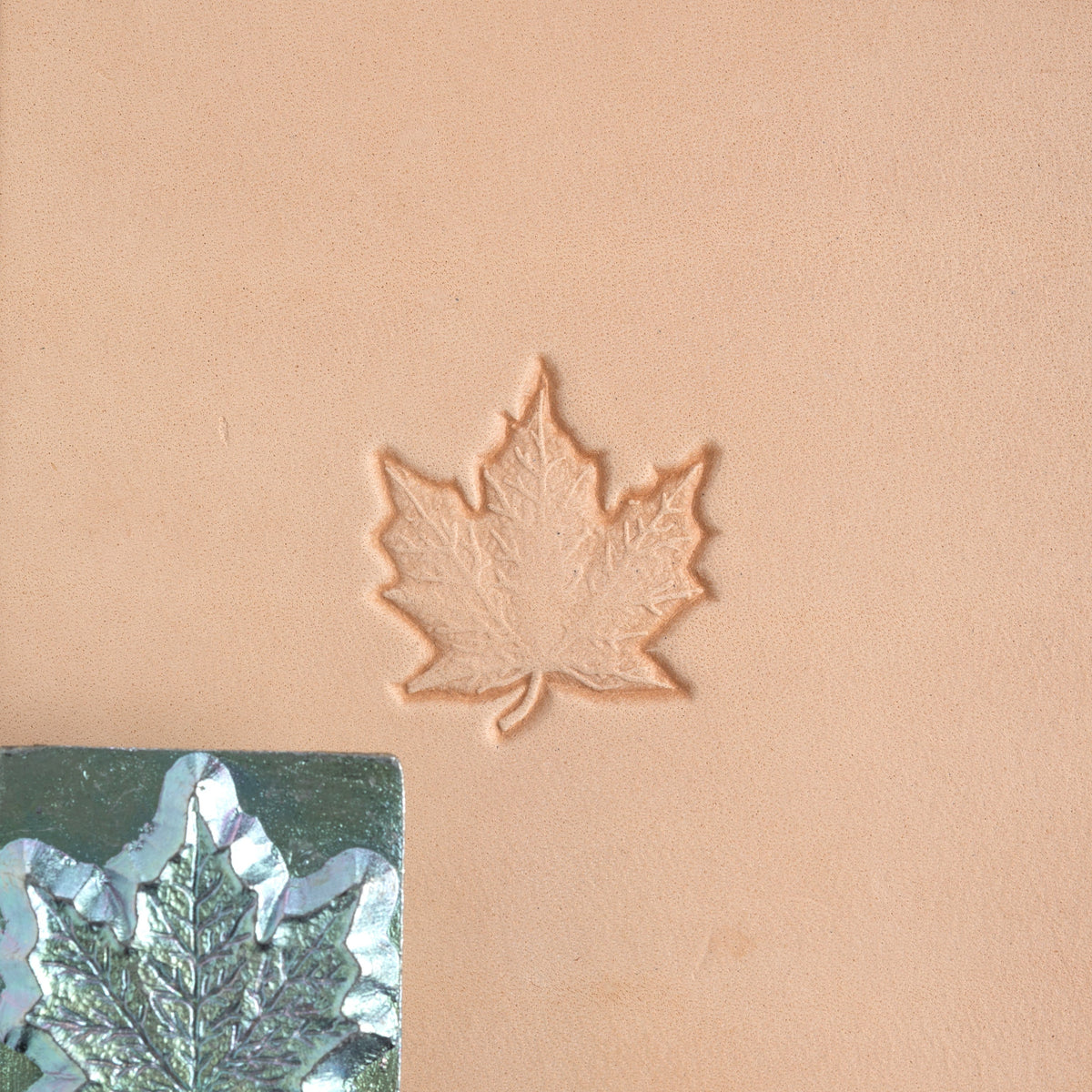 Craftool® Stamp Head Maple Leaf | Tandy Leather — Tandy Leather, Inc.